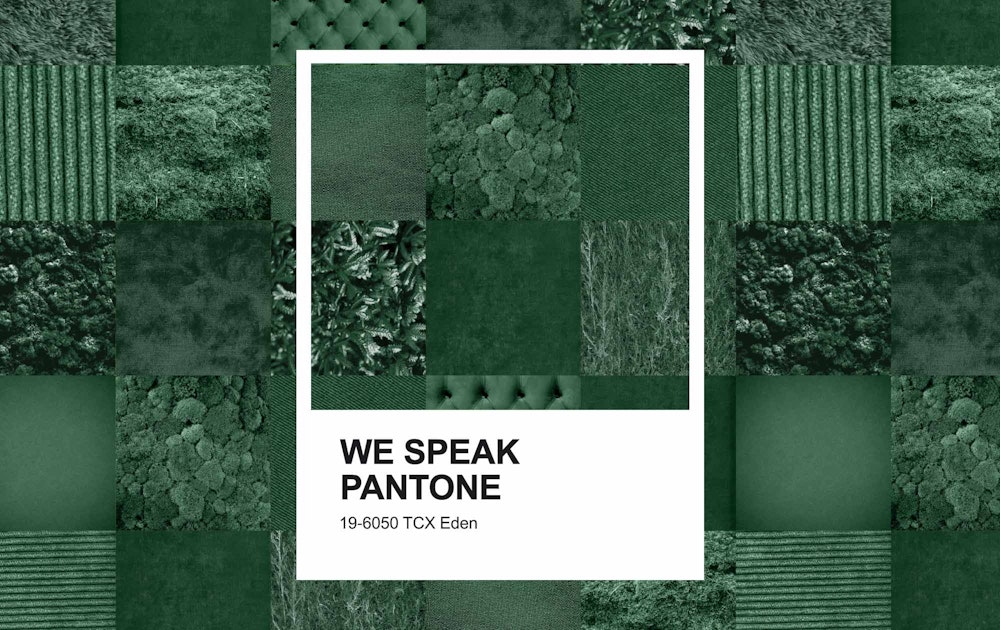 We Speak PANTONE: Unsere Schaufenster für den Herbst