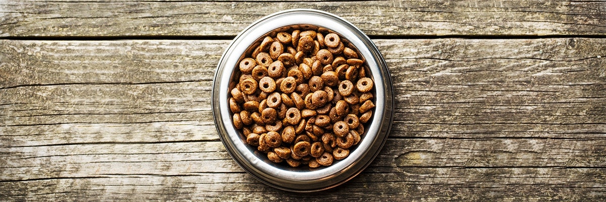 Welches Futter ist das richtige? | pets Premiums