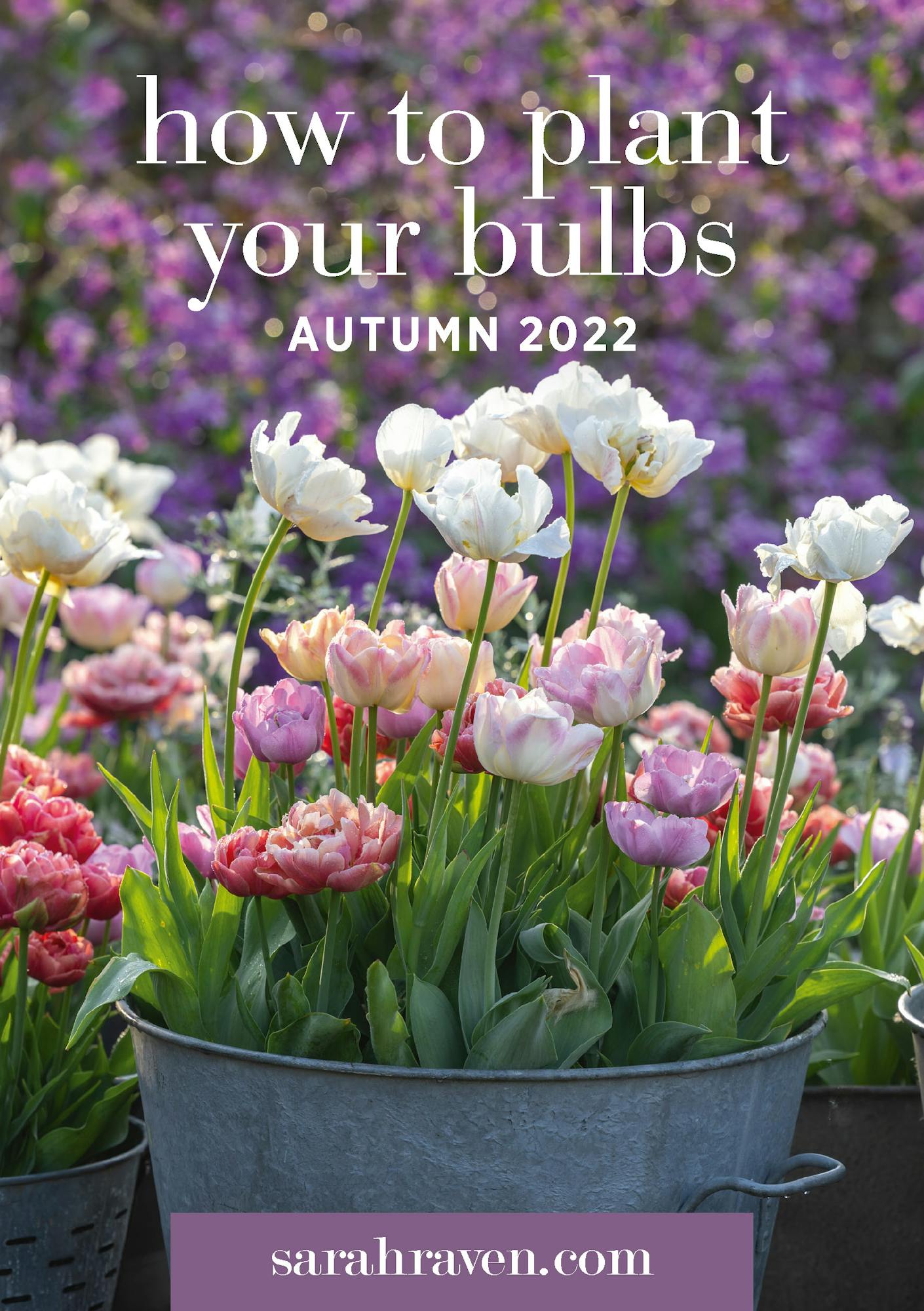 Instruction Booklets | Sarah Raven | Sarah Raven