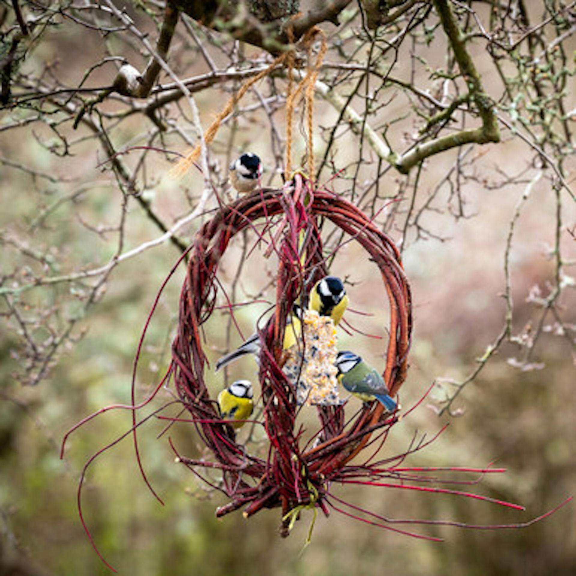 Celebrating 30 Years of Perch Hill | Sarah Raven