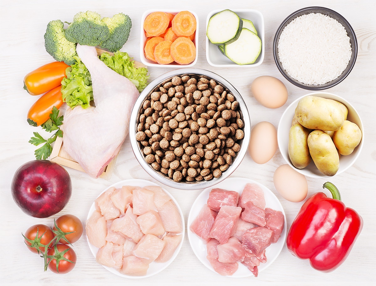 Zusammensetzung & Deklaration von Futter | pets Premium